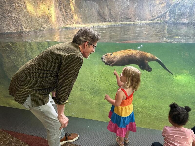 Lane Ann Bayless: Meet Rick Bayless' Daughter